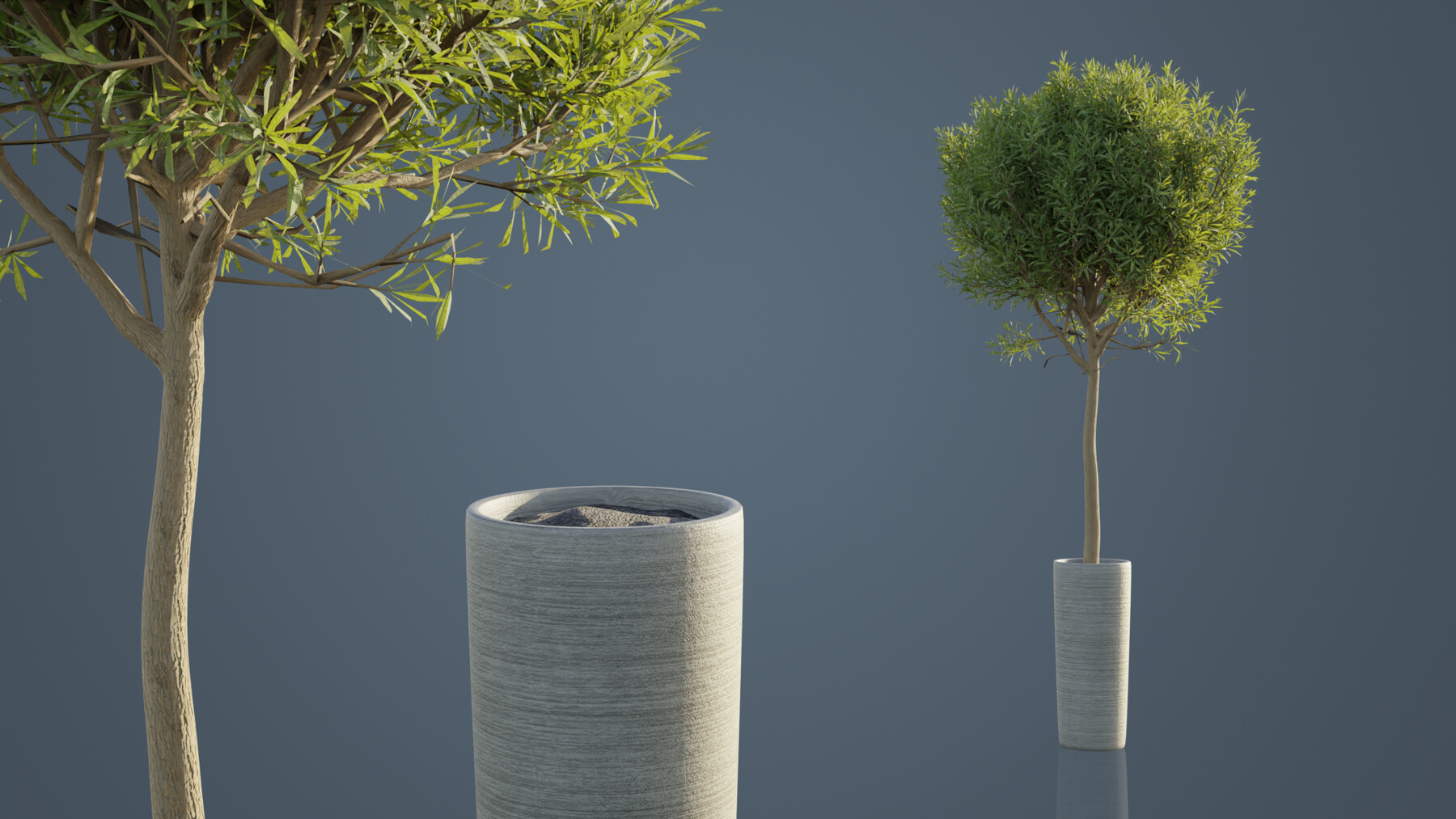 ArtStation - Pot Plants - Rosemary | Game Assets