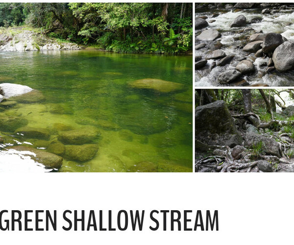 ArtStation - 210 photos of Light Green Shallow Stream | Resources