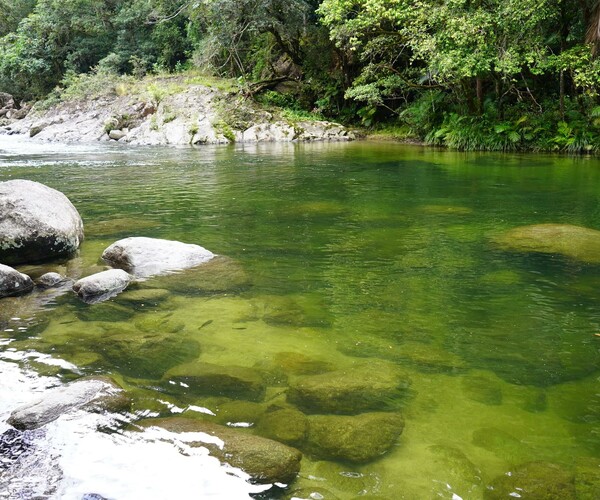 ArtStation - 210 photos of Light Green Shallow Stream | Resources