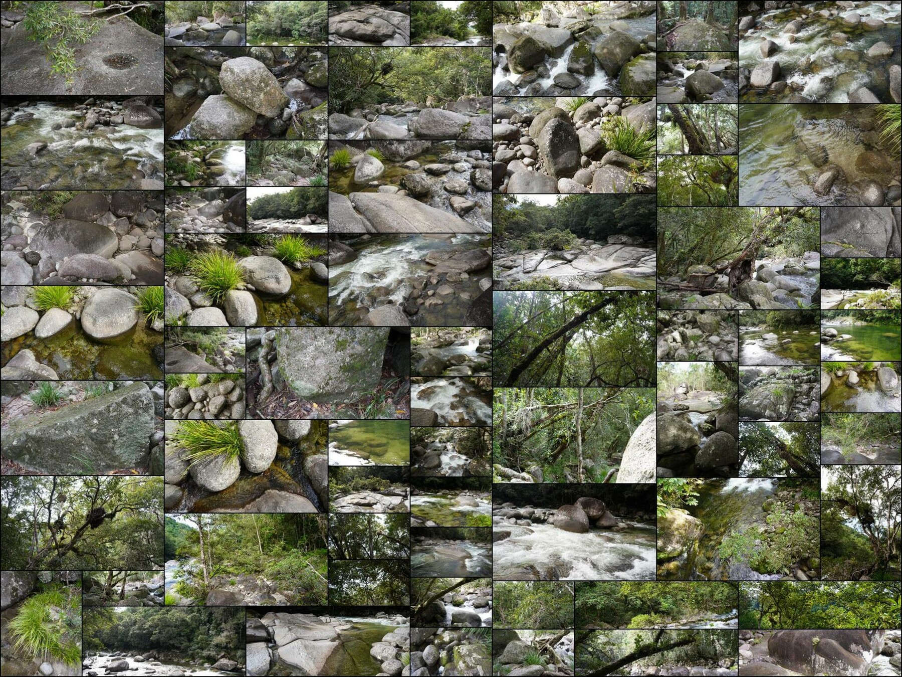 ArtStation - 210 photos of Light Green Shallow Stream | Resources