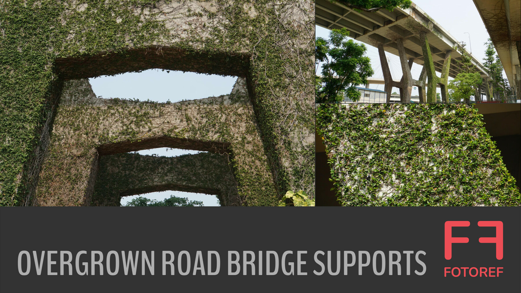 FOTOREF.COM Photo Packs - 159 photos of Overgrown Road Bridge Supports