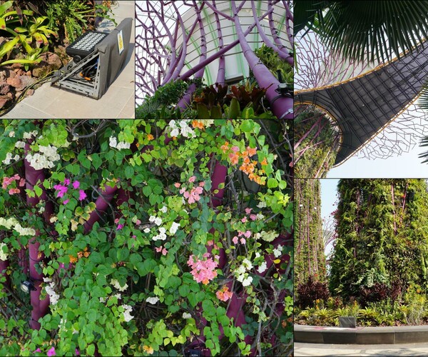 ArtStation - 255 photos of Giant Tree Garden Structures | Resources