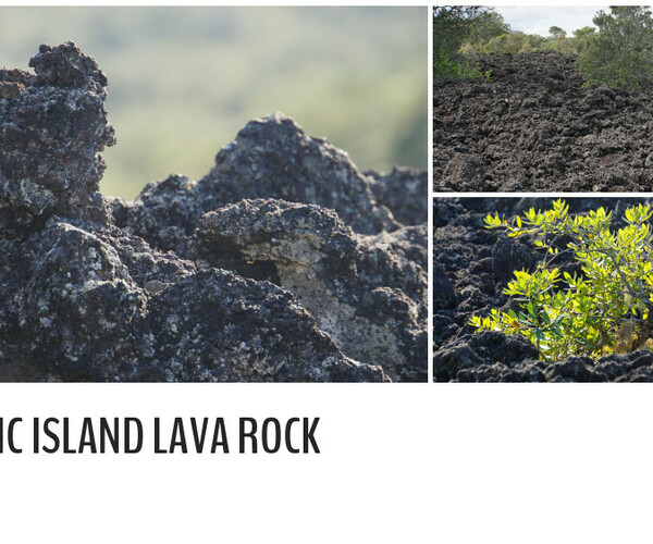 ArtStation - 376 photos of Volcanic Island Lava Rock Fields | Resources