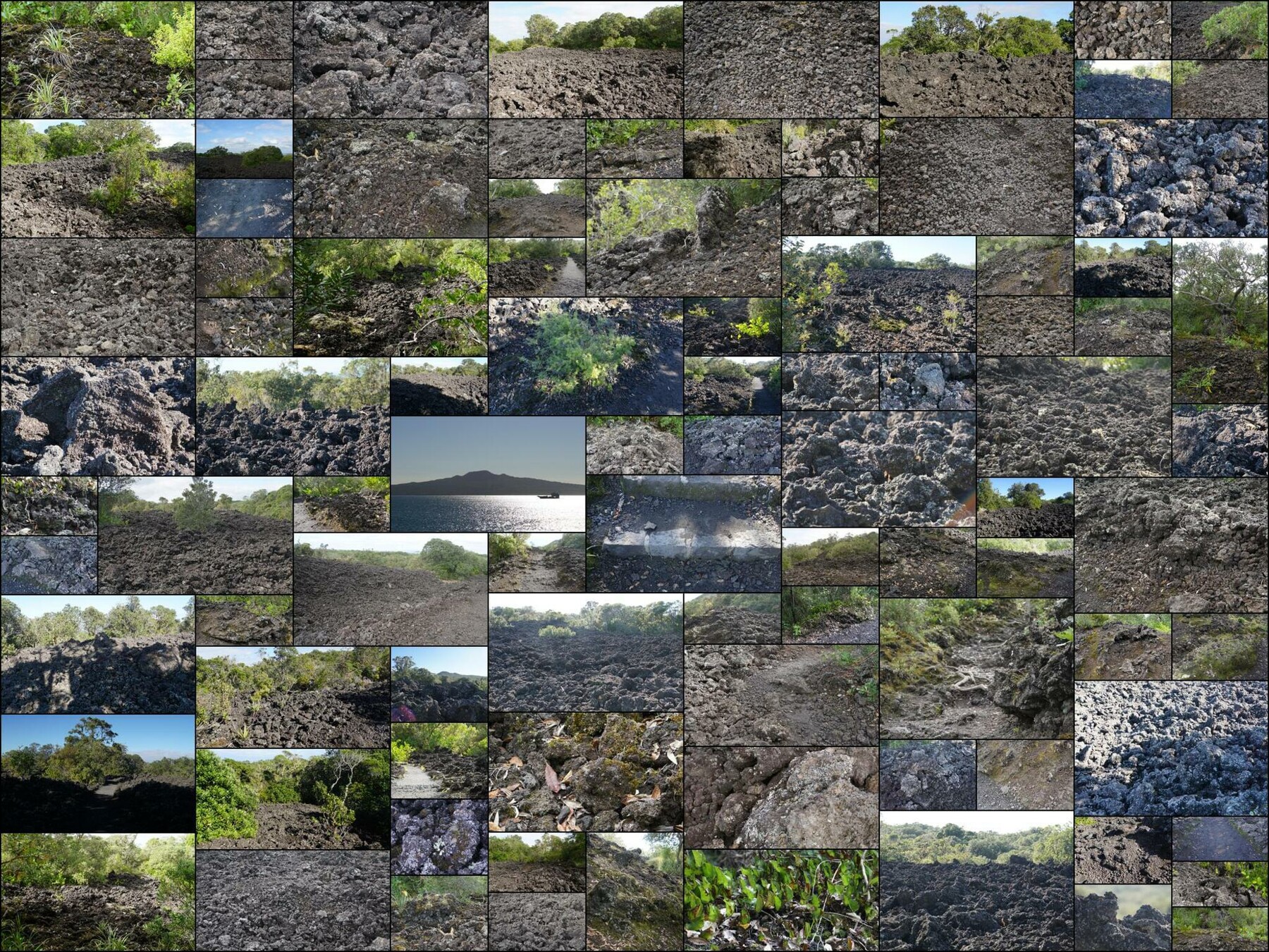 ArtStation - 376 photos of Volcanic Island Lava Rock Fields | Resources