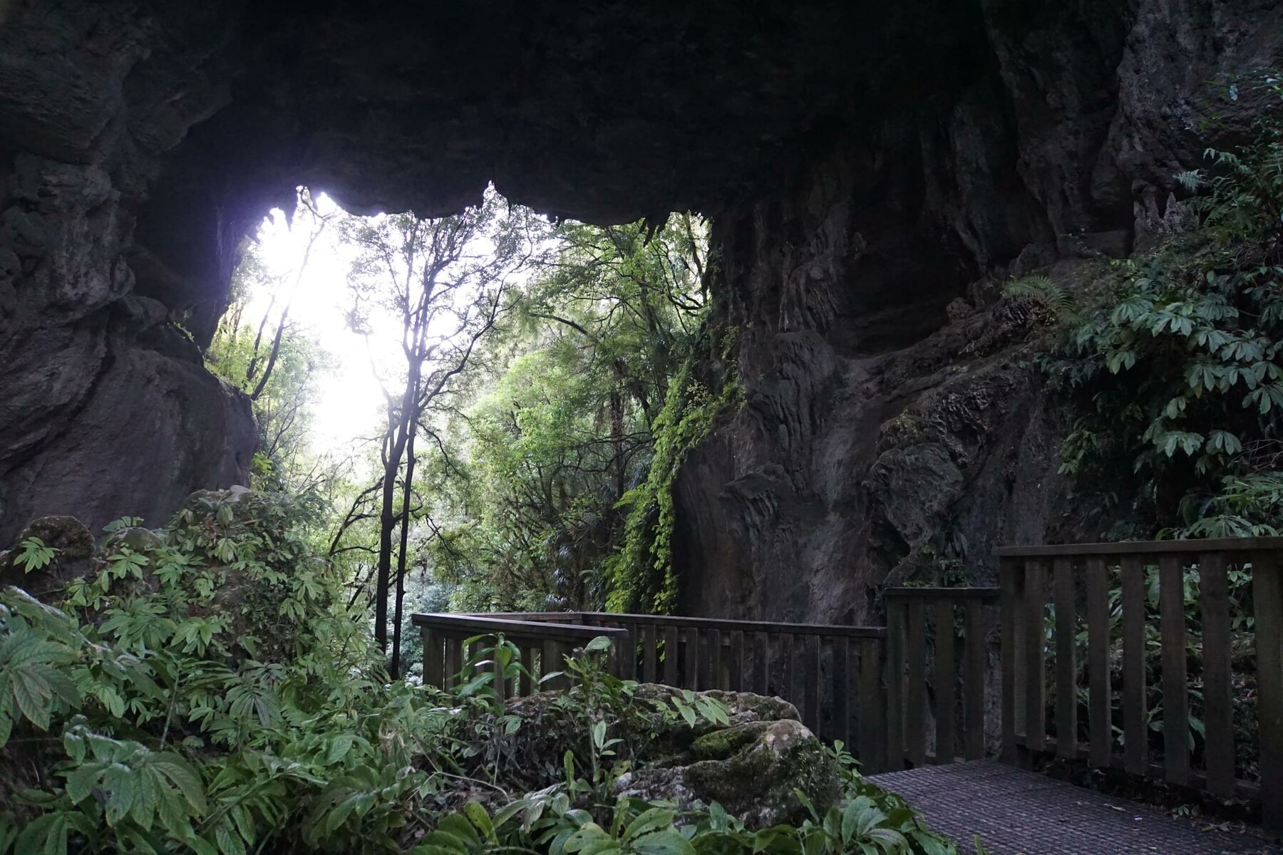 ArtStation - 138 photos of Collapsed and Exposed Cave | Resources