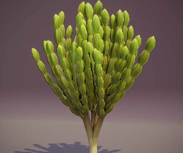 ArtStation - Cartoon Candelabra Tree 3D Model | Game Assets