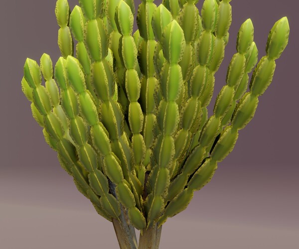 ArtStation - Cartoon Candelabra Tree 3D Model | Game Assets