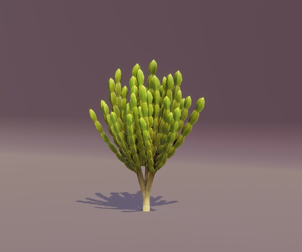 ArtStation - Cartoon Candelabra Tree 3D Model | Game Assets