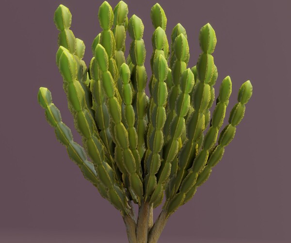 ArtStation - Cartoon Candelabra Tree 3D Model | Game Assets