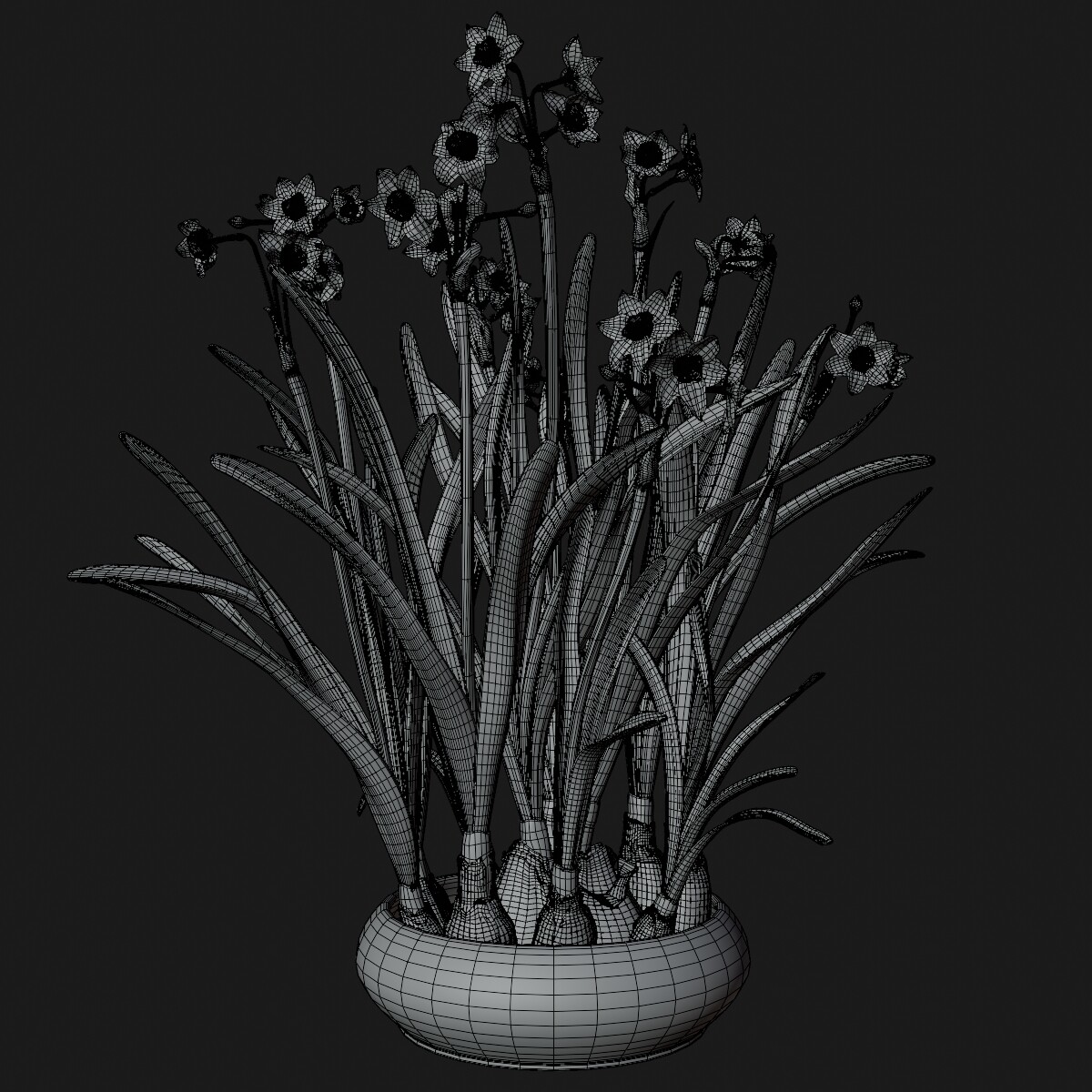 ArtStation - 3D Plant | Daffodil | VFX Grace | Game Assets