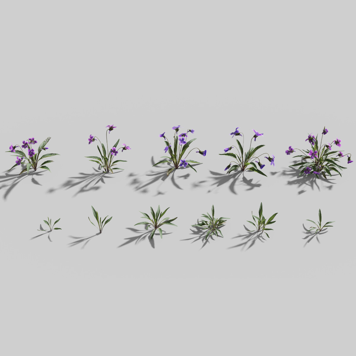 ArtStation - 3D Flower | Viola Philippica | VFX Grace | Game Assets