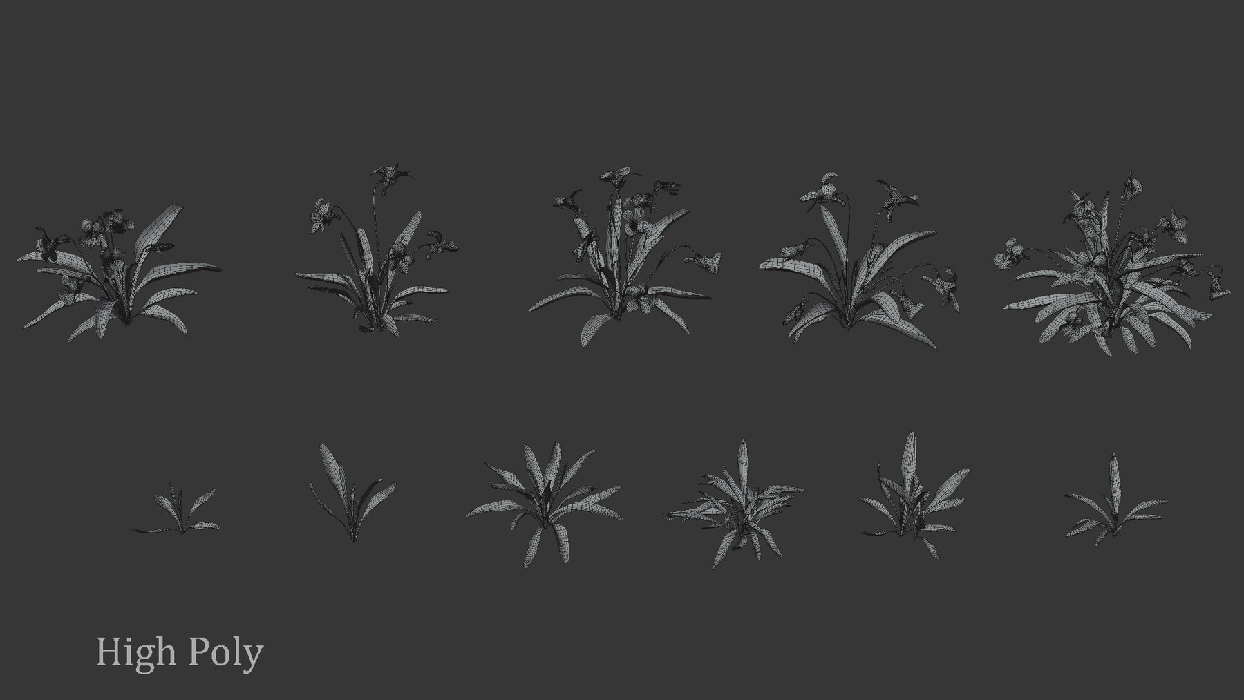 ArtStation - 3D Flower | Viola Philippica | VFX Grace | Game Assets