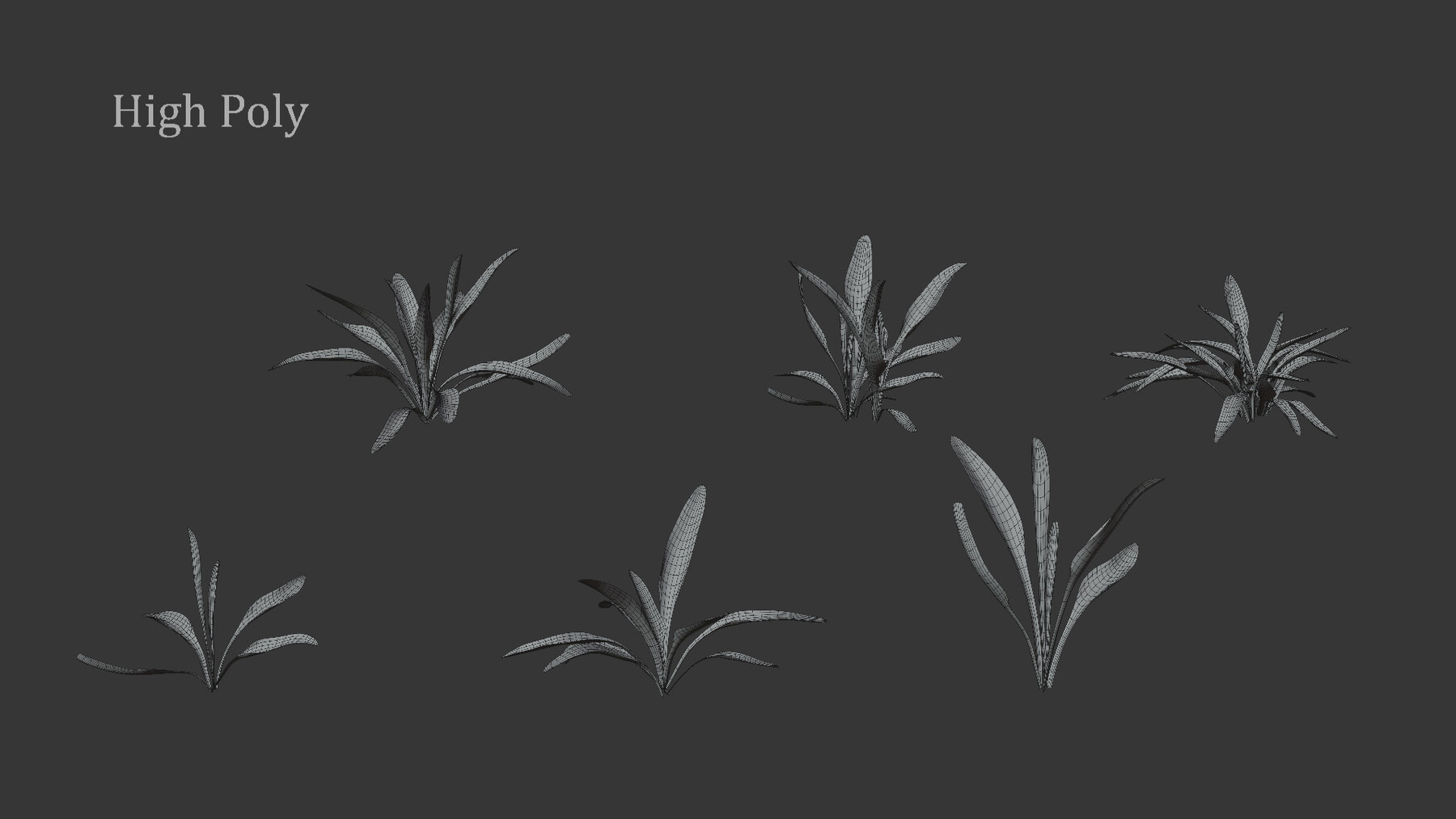 ArtStation - 3D Flower | Viola Philippica | VFX Grace | Game Assets