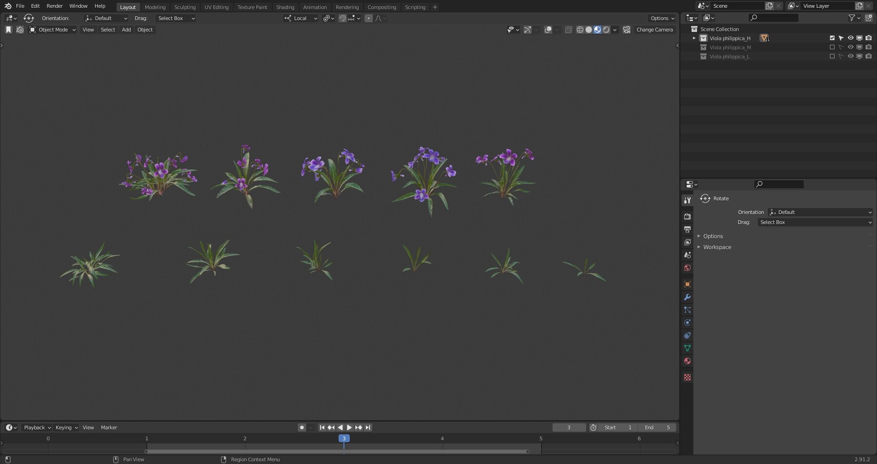 ArtStation - 3D Flower | Viola Philippica | VFX Grace | Game Assets