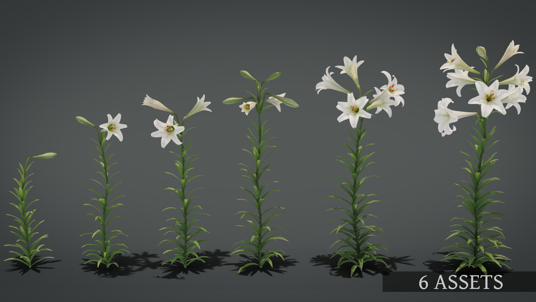 ArtStation - 3D Flower | Lily Flower | Game Assets