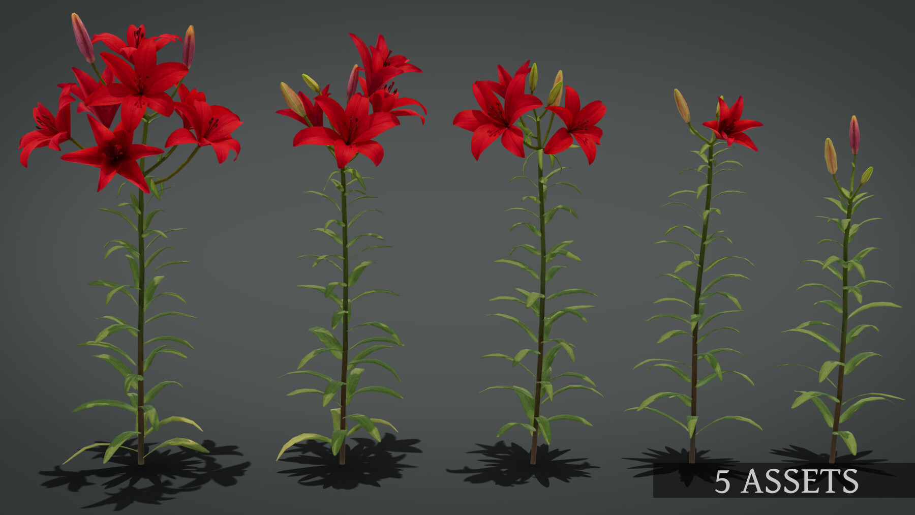 ArtStation - 3D Flower | Lily Flower | Game Assets