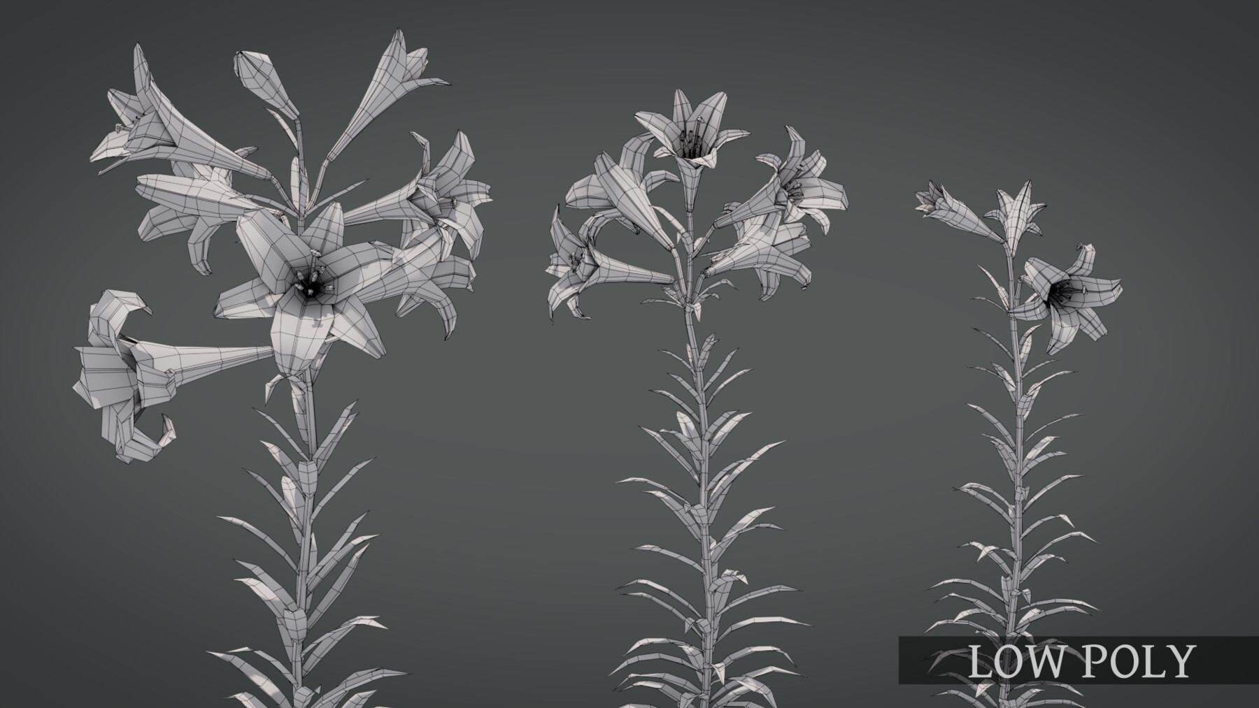 ArtStation - 3D Flower | Lily Flower | Game Assets