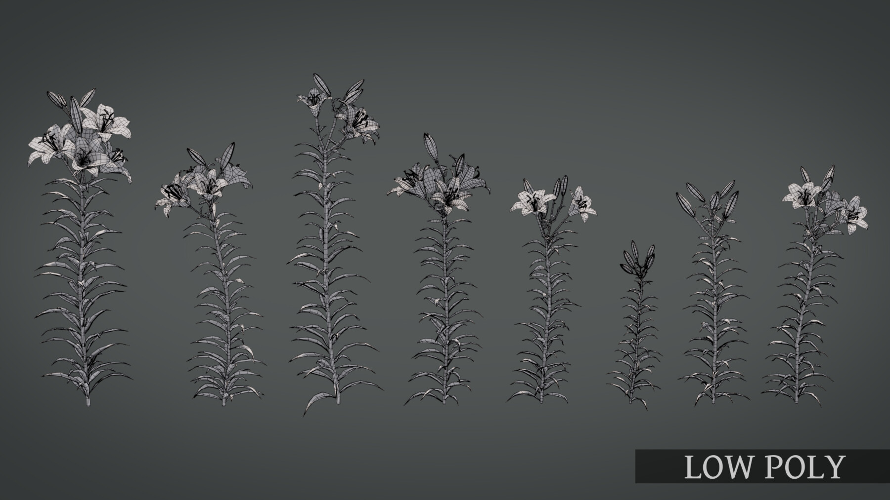 ArtStation - 3D Flower | Lily Flower | Game Assets