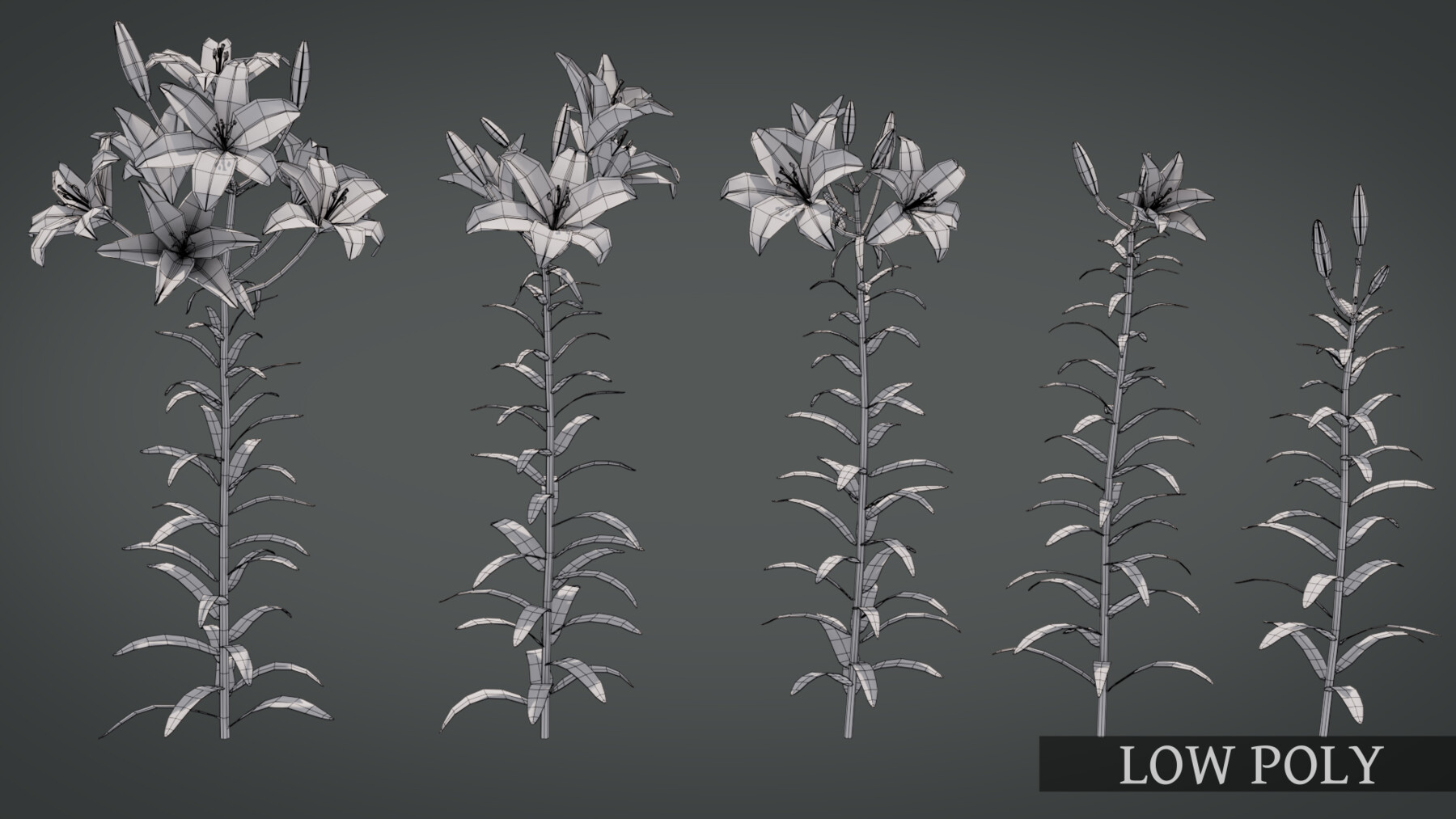 ArtStation - 3D Flower | Lily Flower | Game Assets