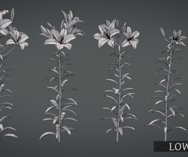 ArtStation - 3D Flower | Lily Flower | Game Assets