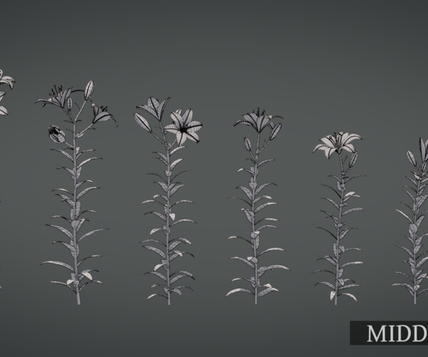 ArtStation - 3D Flower | Lily Flower | Game Assets