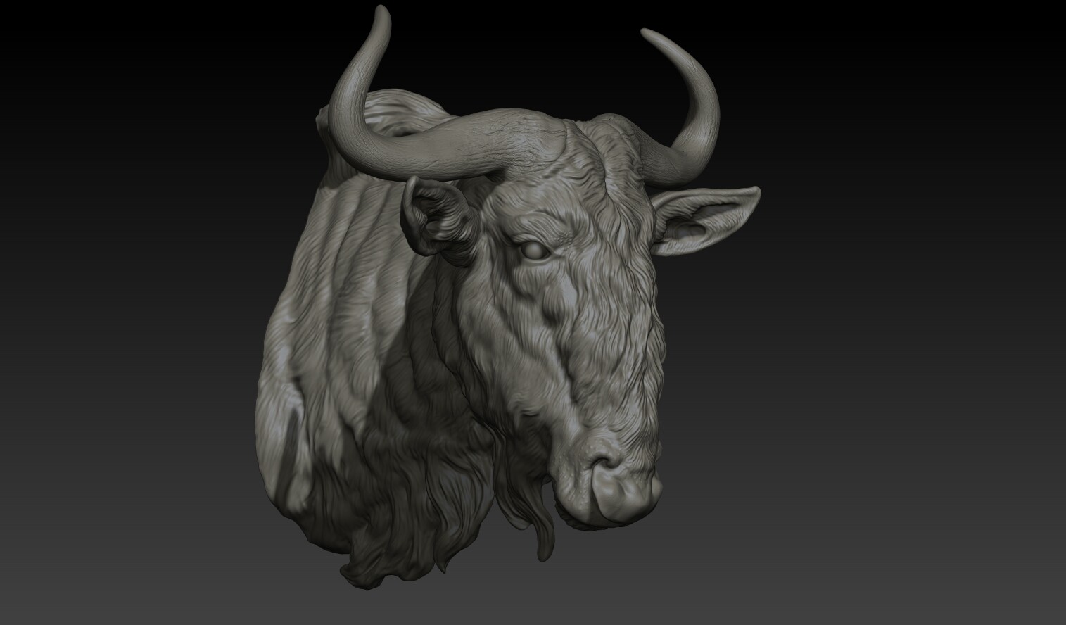 ArtStation - Wildebeest head | Resources