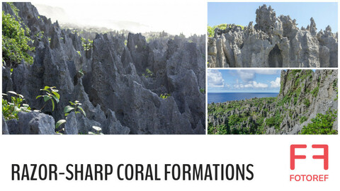 ArtStation - 280 photos of Razor-Sharp Coral Formations | Resources