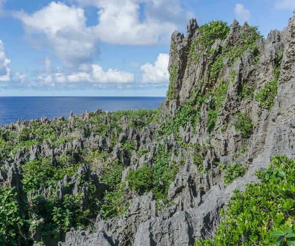 ArtStation - 280 photos of Razor-Sharp Coral Formations | Resources