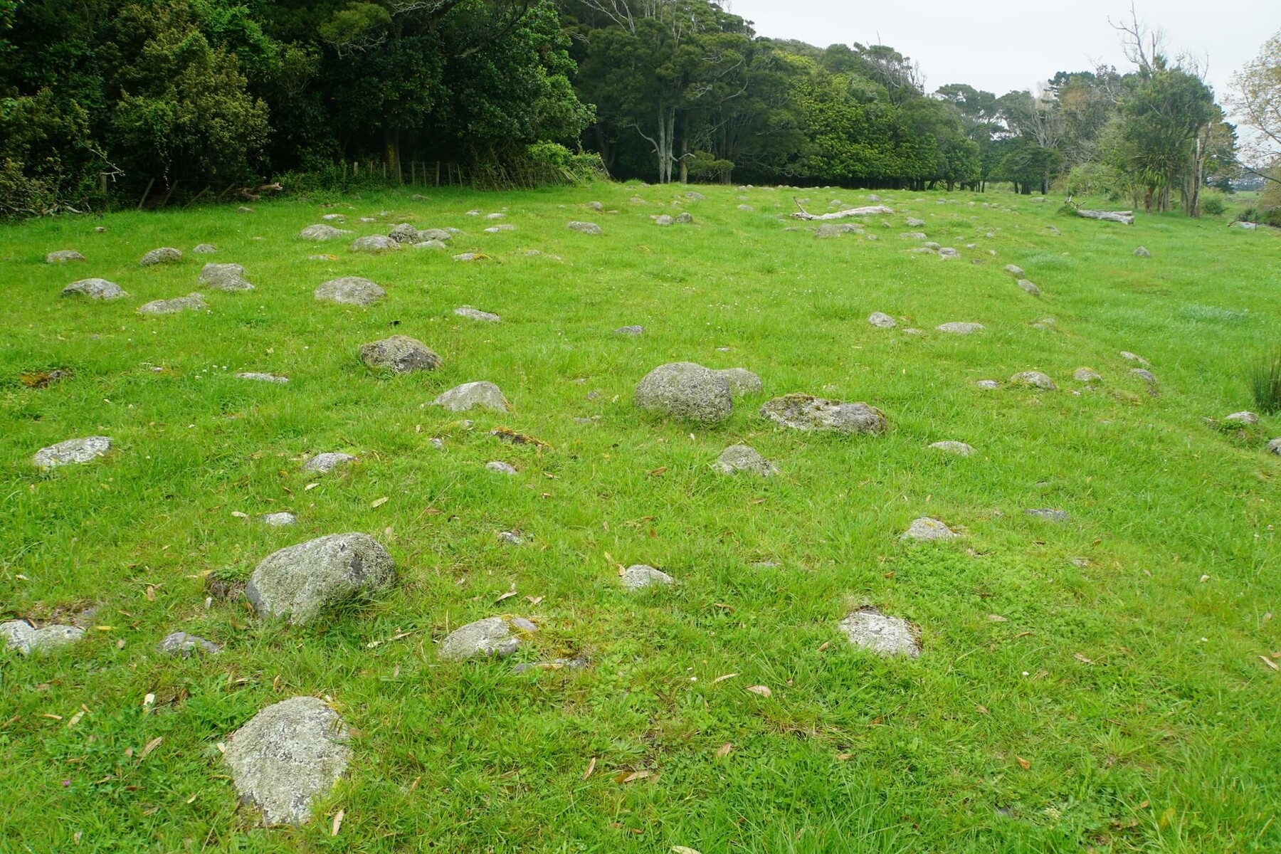 ArtStation - 67 photos of Round Rock Grassy Field | Resources