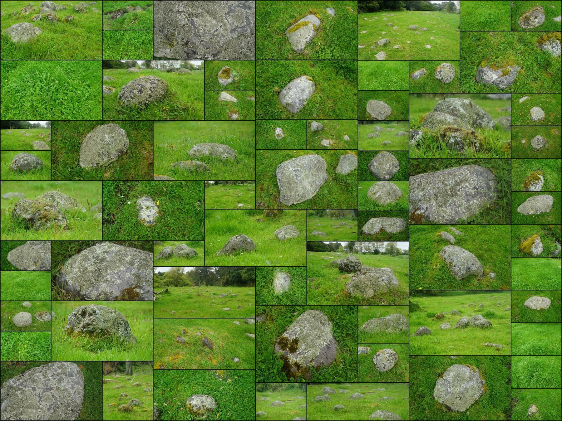 ArtStation - 67 photos of Round Rock Grassy Field | Resources