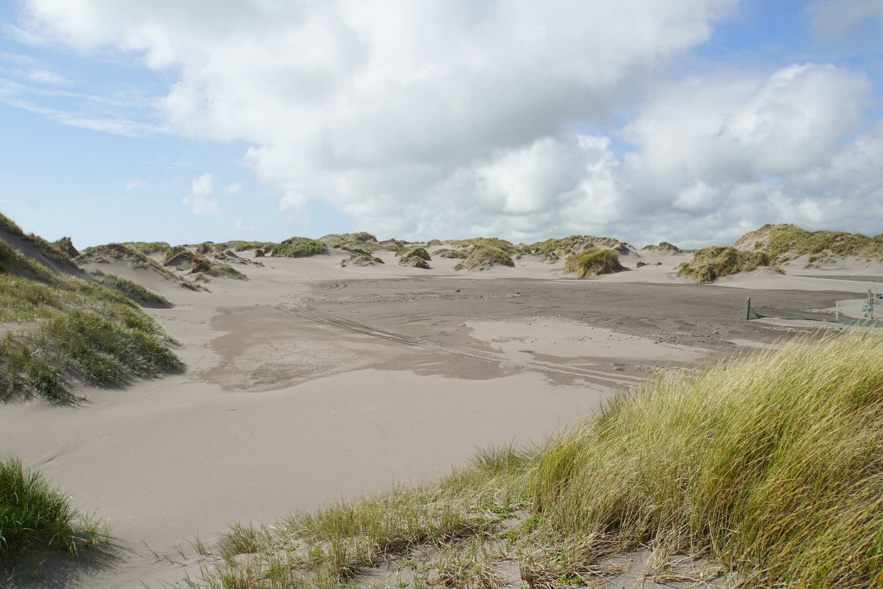 ArtStation - 241 photos of Gray Dunes | Resources