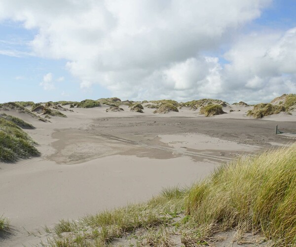 ArtStation - 241 photos of Gray Dunes | Resources