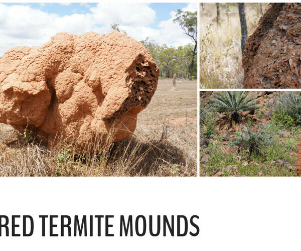 ArtStation - 90 photos of Thick Red Termite Mounds | Resources