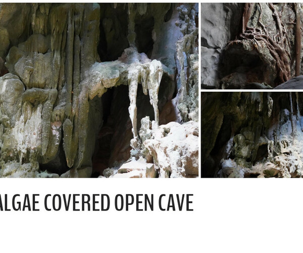 ArtStation - 212 photos of Green Algae Covered Open Cave Domes | Resources