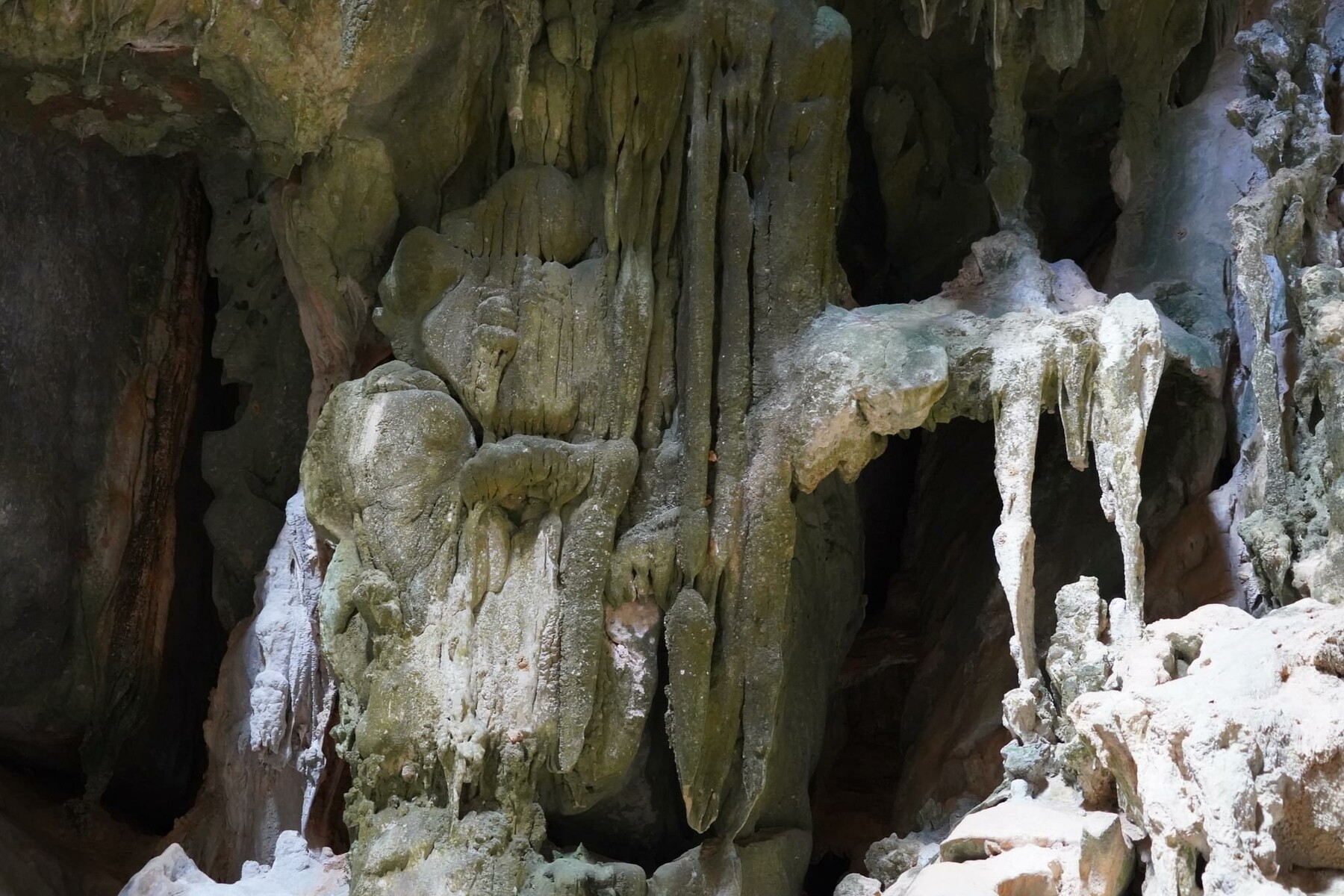 ArtStation - 212 photos of Green Algae Covered Open Cave Domes | Resources