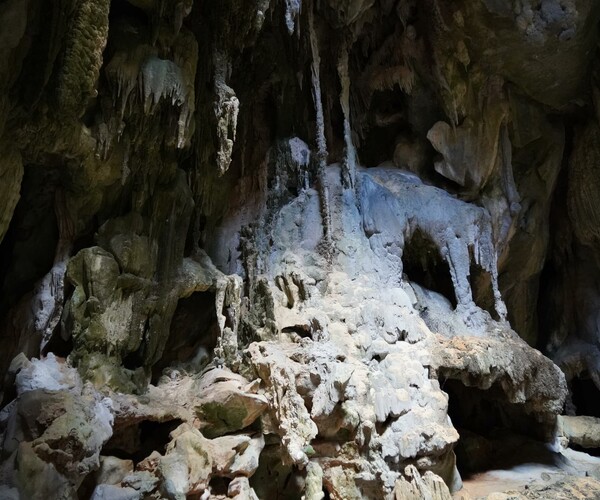 ArtStation - 212 photos of Green Algae Covered Open Cave Domes | Resources