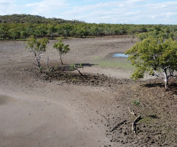 ArtStation - 469 photos of Drying Basalt Covered Swamp | Resources