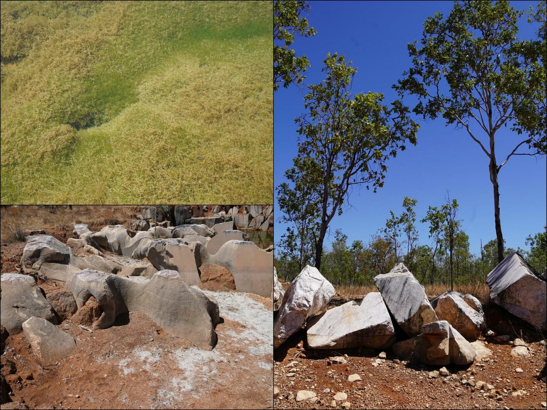 ArtStation - 143 photos of Grey Marble Quarry Green Pool | Resources