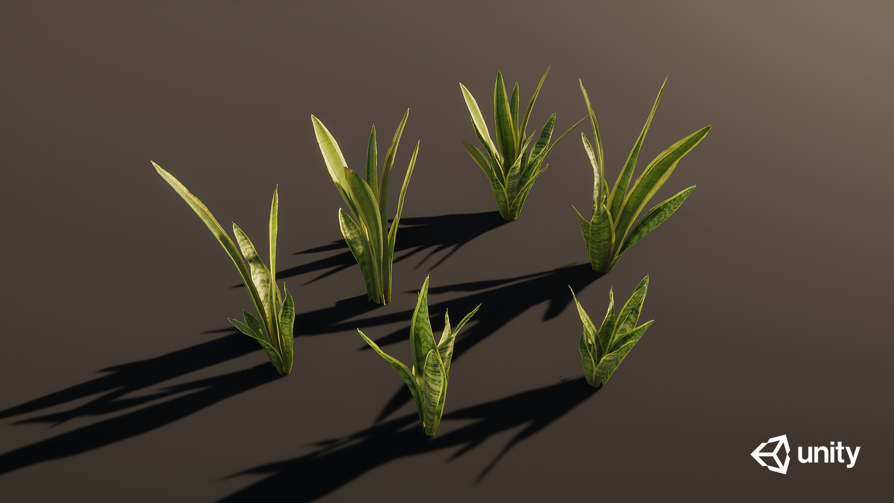 ArtStation - Snake Plant | Game Assets