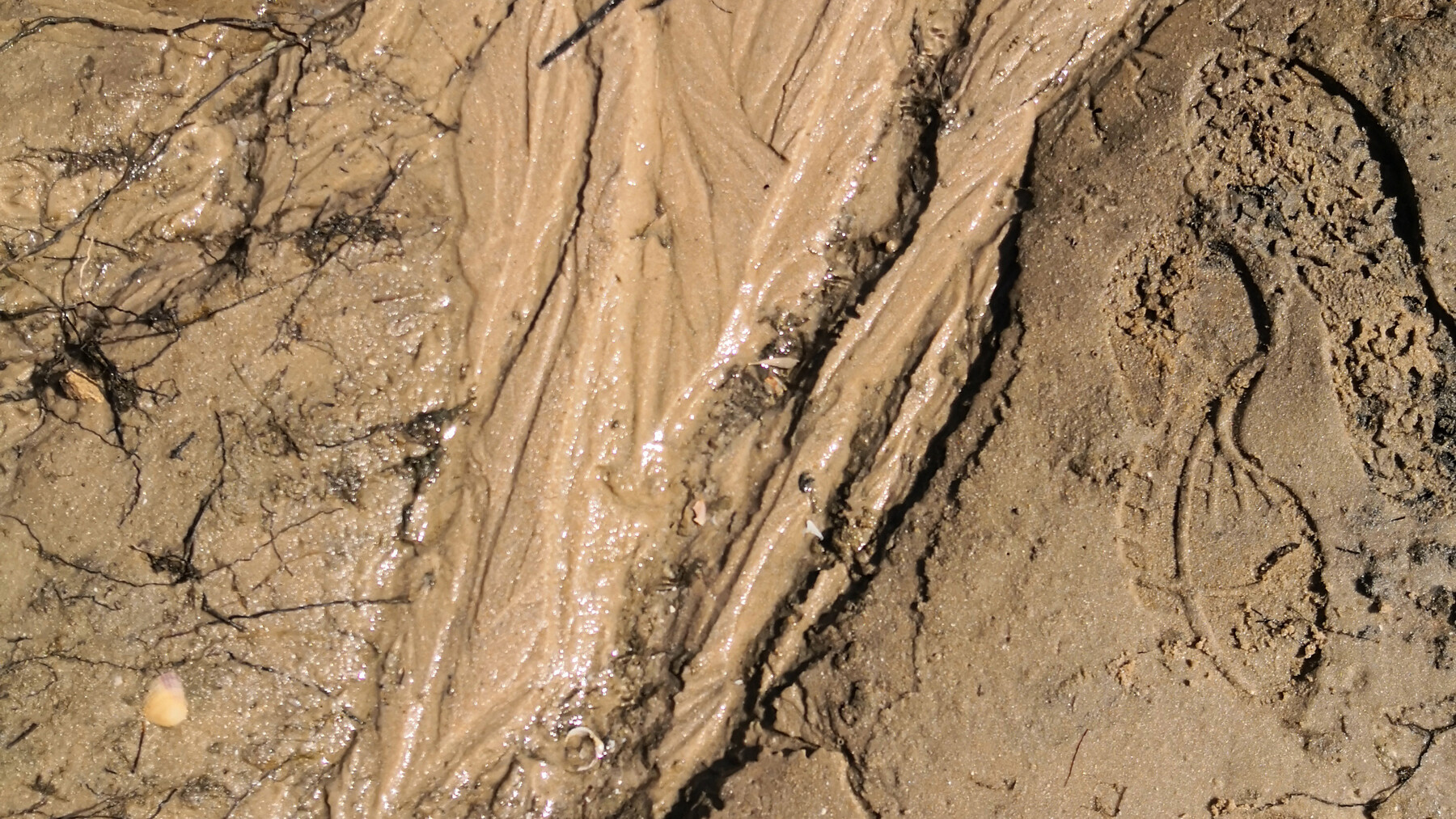 ArtStation - Sand Texture Pack | Resources