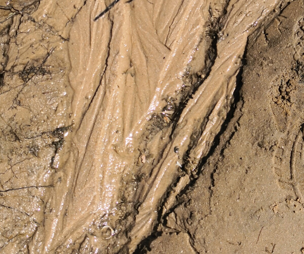 ArtStation - Sand Texture Pack | Resources