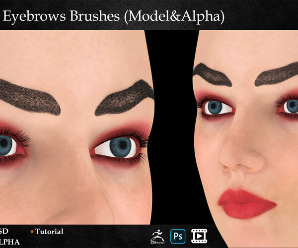 ArtStation - 21 Female Eyebrows Brushes (Model&Alpha)-vol 1 | Brushes