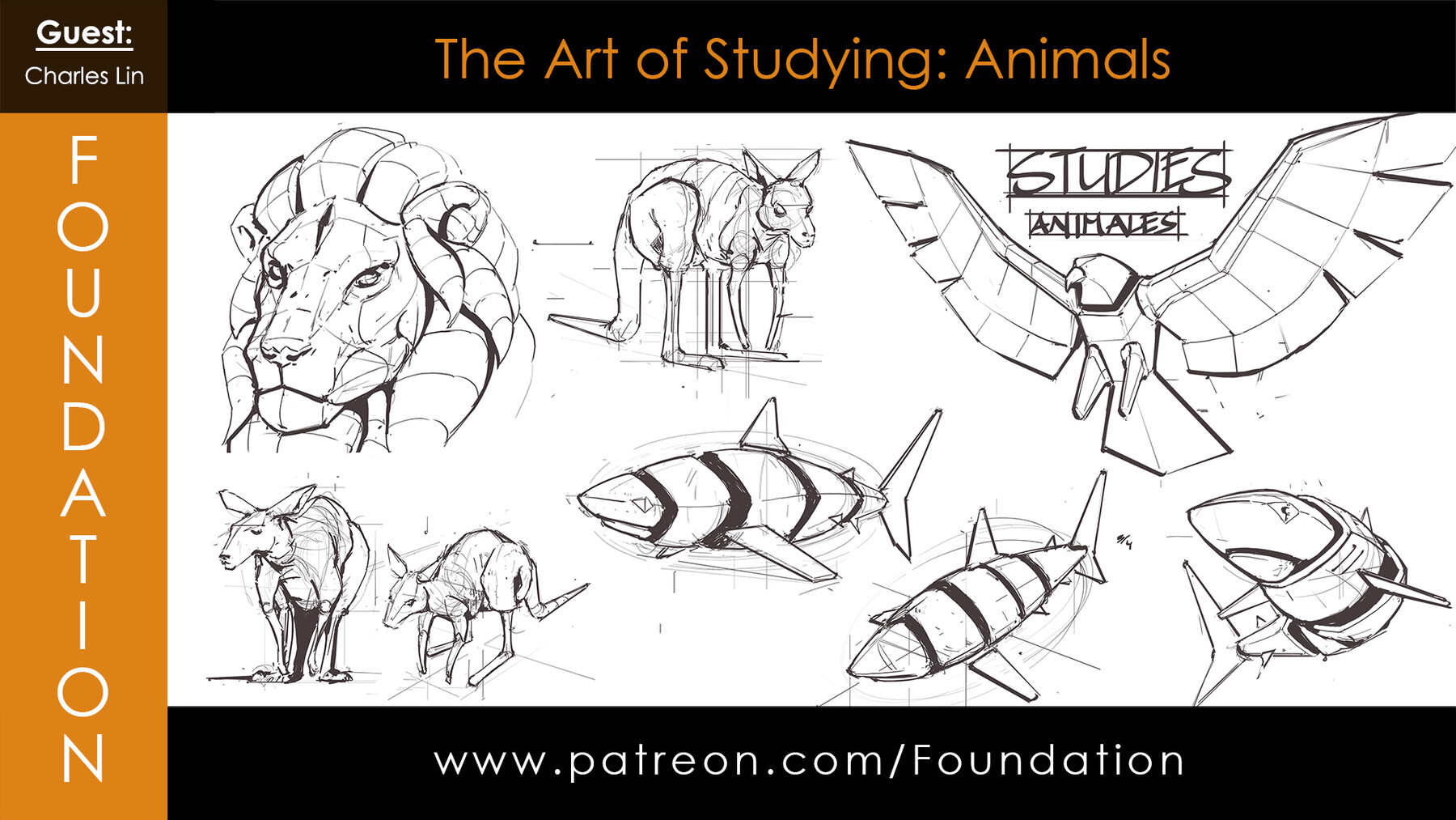 ArtStation - Foundation Art Group - The Art of Studying: Animals with ...