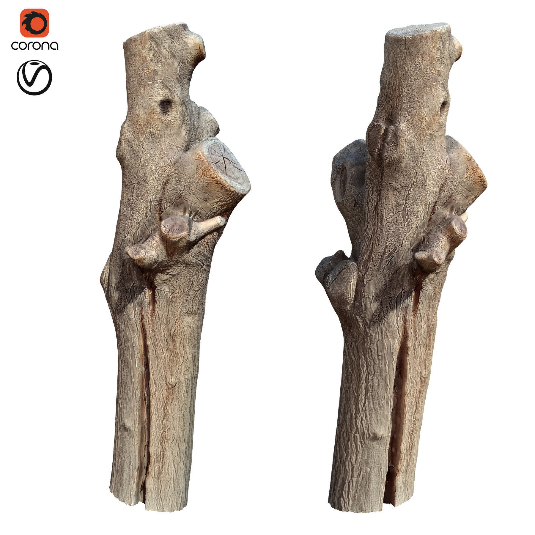 ArtStation - tree trunk pack total 10 tree trunks | Game Assets