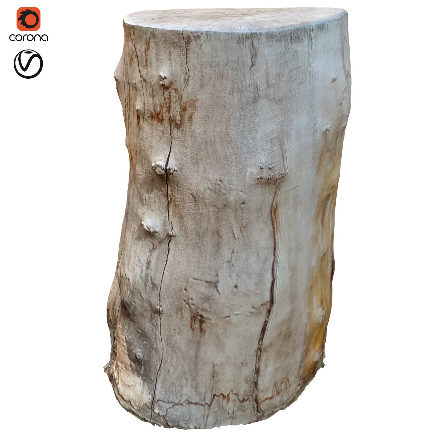 ArtStation - tree trunk pack total 10 tree trunks | Game Assets