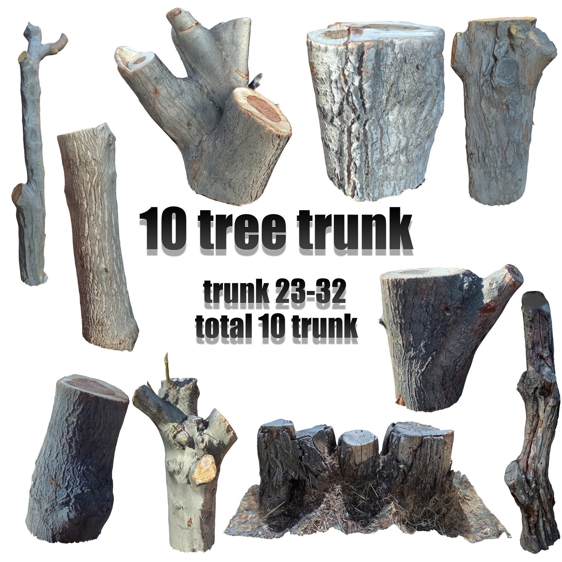 ArtStation - tree trunk pack total 10 tree trunks vol 2 | Game Assets
