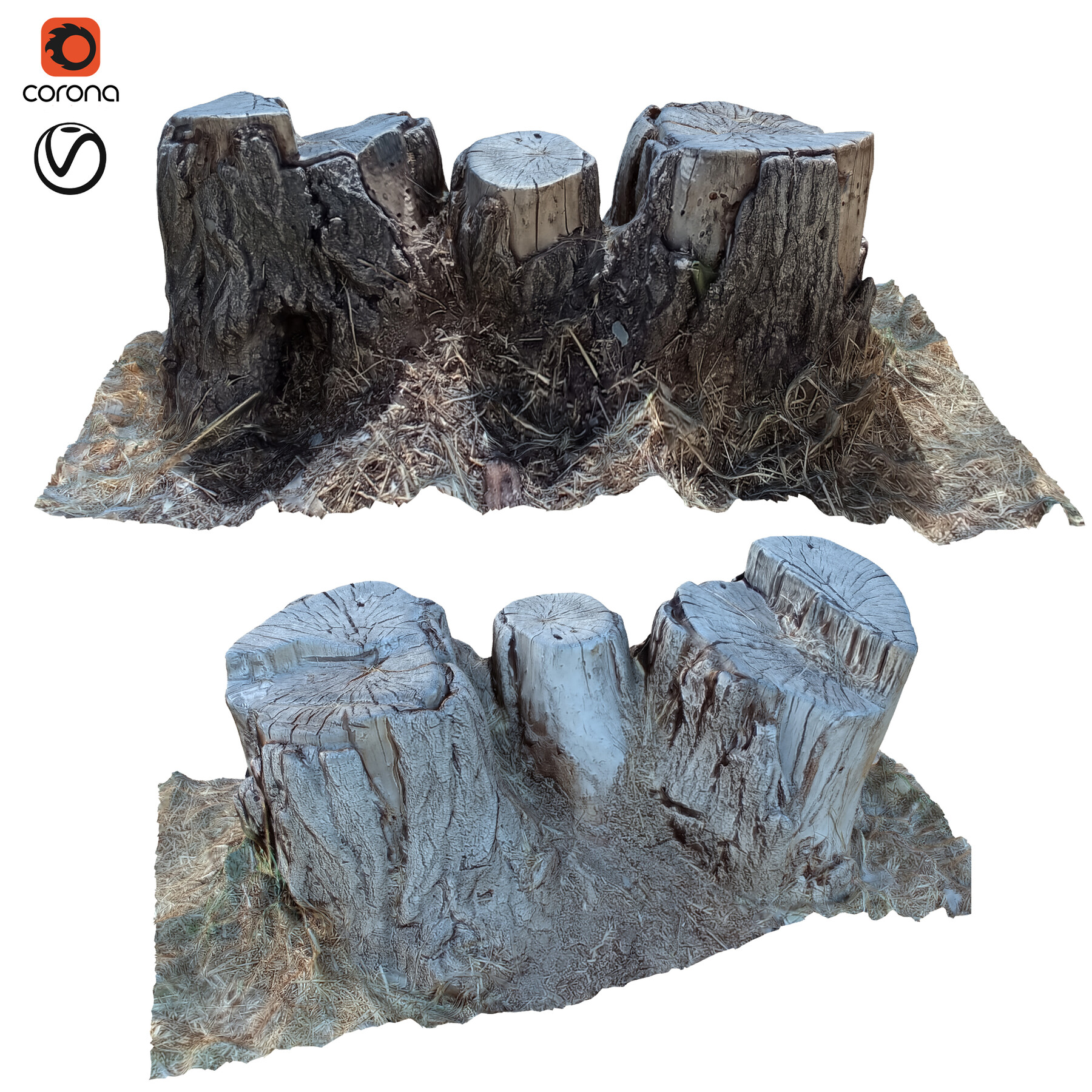 ArtStation - tree trunk pack total 10 tree trunks vol 2 | Game Assets