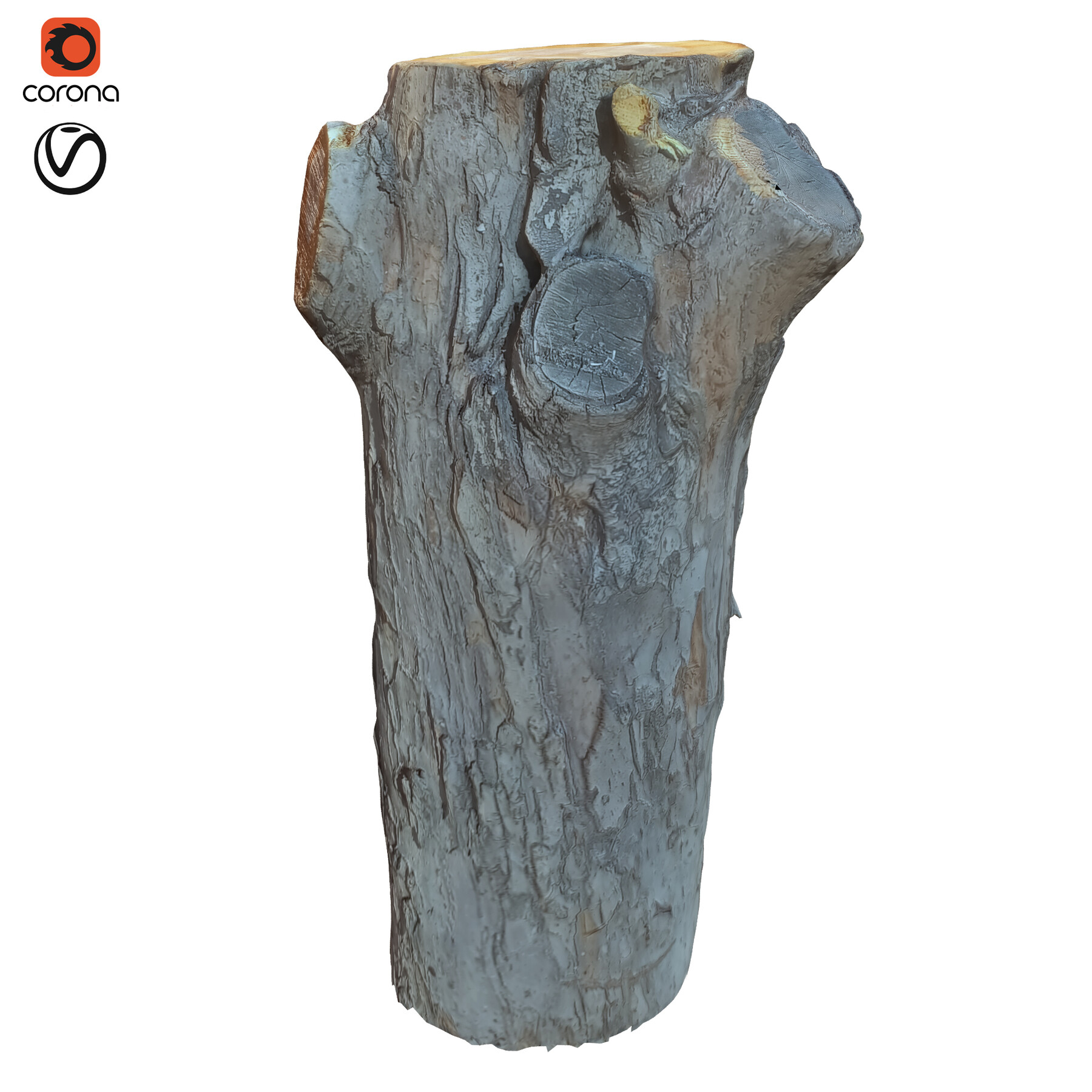 ArtStation - tree trunk pack total 10 tree trunks vol 2 | Game Assets