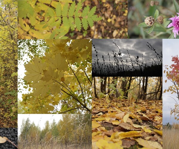 ArtStation - Autumn Mood, 469 Reference Photos | Resources