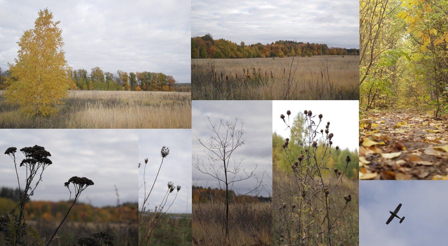 ArtStation - Autumn Mood, 469 Reference Photos | Resources